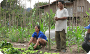 Home - English - TRIANGLE GENERATION HUMANITAIRE