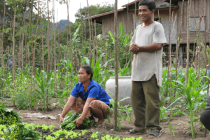 Our expertise - TRIANGLE GENERATION HUMANITAIRE